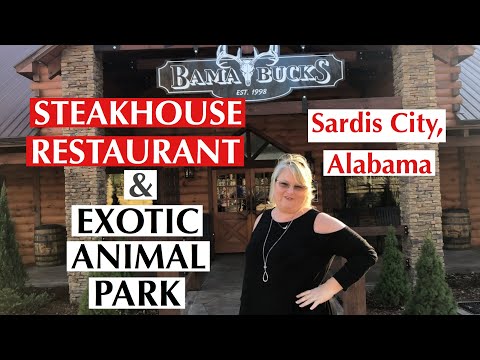 ODDITY: Bama Bucks is a Steakhouse With an Exotic Side - Drivin' & Vibin'
