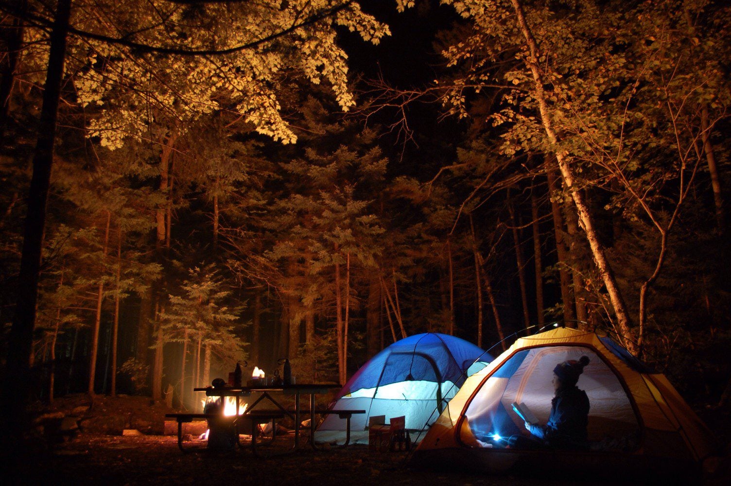 REVIEWED: 5 Best Acadia Campgrounds