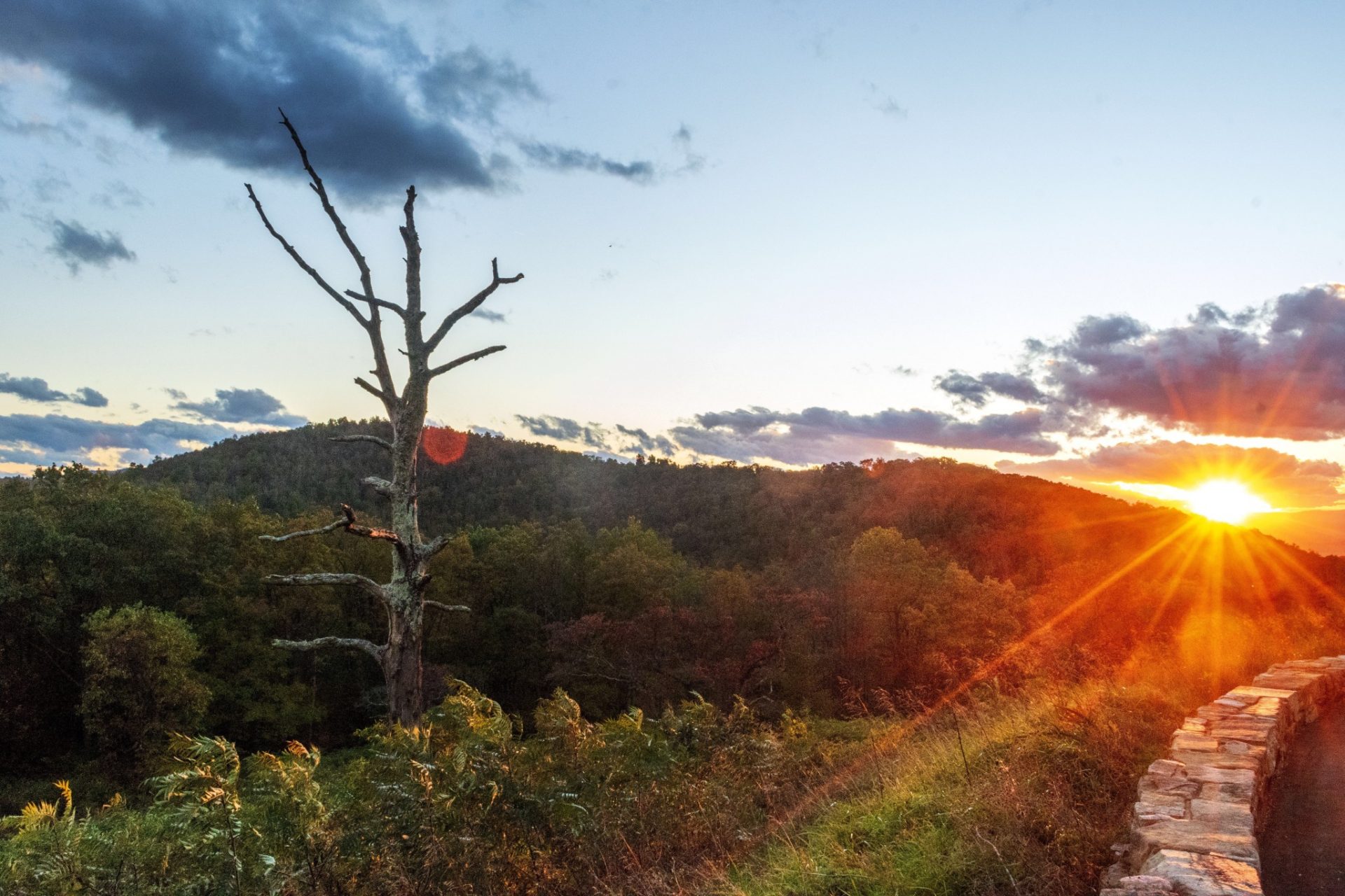7 Best Shenandoah Campgrounds | Drivin' & Vibin'