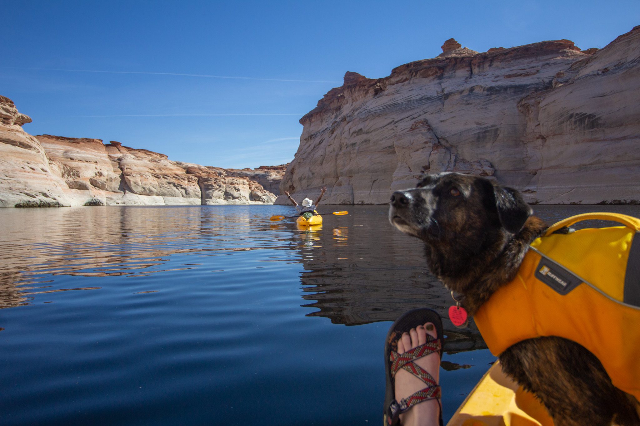 Lake Powell Campgrounds: Decent, Better Best - Drivin' & Vibin'