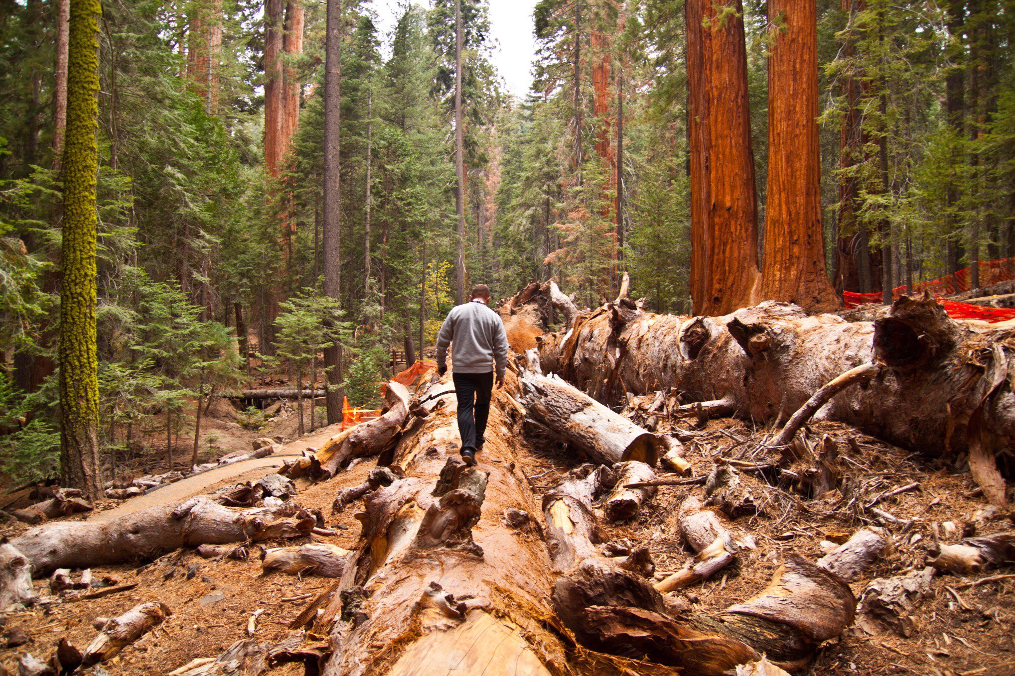 7 Best Free Camping Spots in California - Drivin' & Vibin'