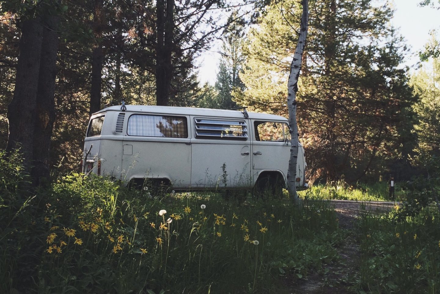 What is Stealth Camping in the USA? - Drivin' & Vibin'