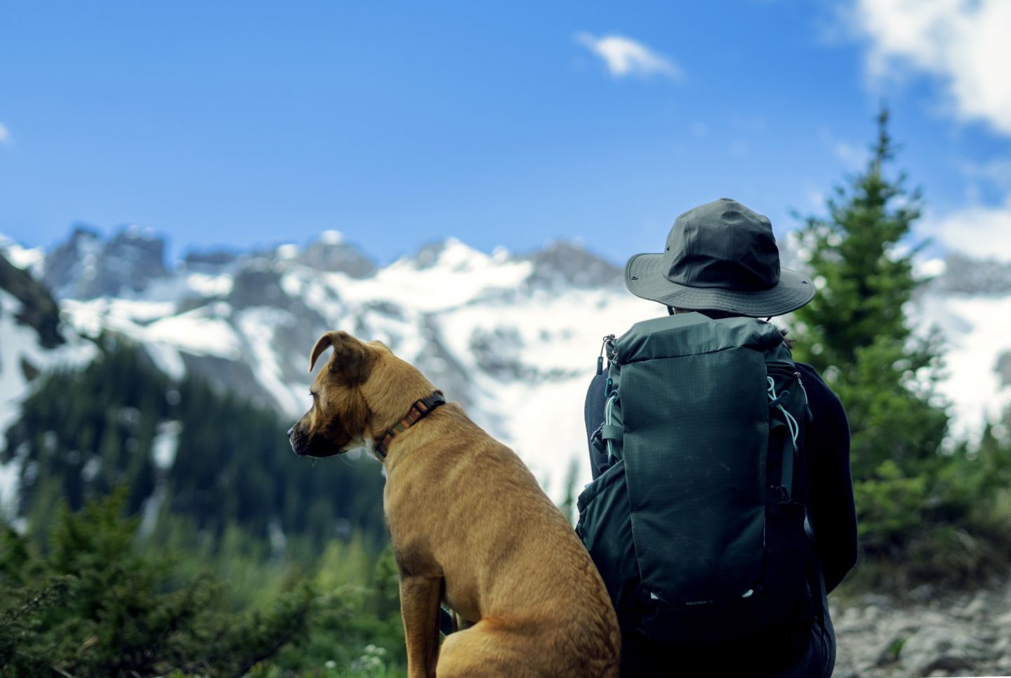 Our 9 Best Things To Do in Telluride, Colorado - Drivin' & Vibin'