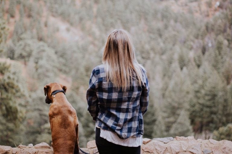 10 Phoenix, Arizona Adventures From Our Sprinter Van - Drivin' & Vibin'