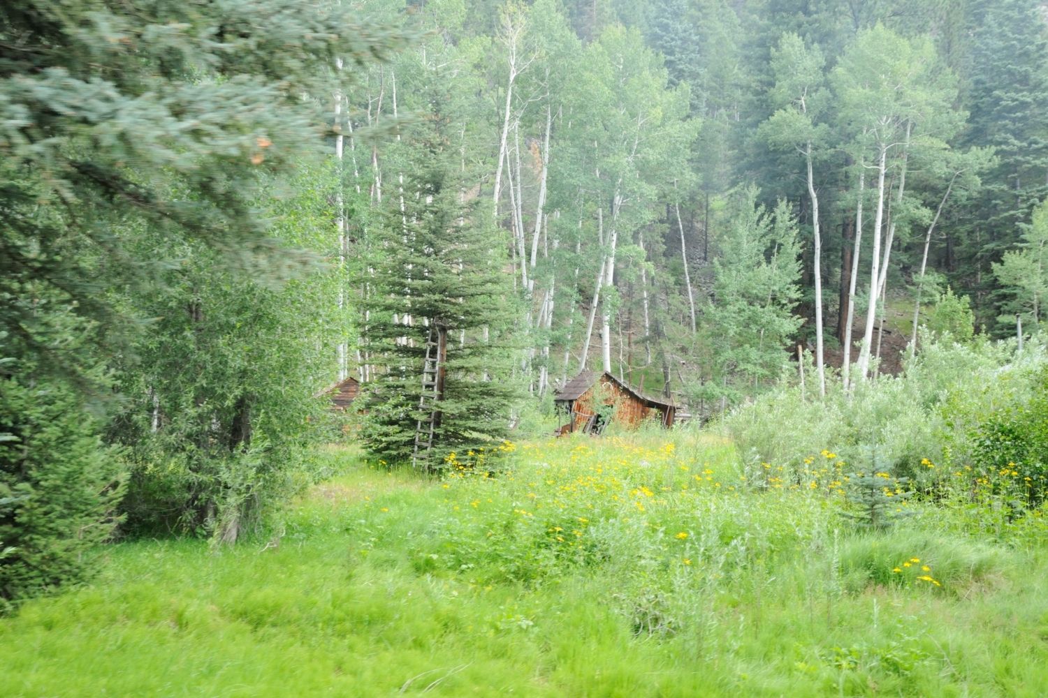 5 Must-See Ghost Towns in Colorado - Drivin' & Vibin'