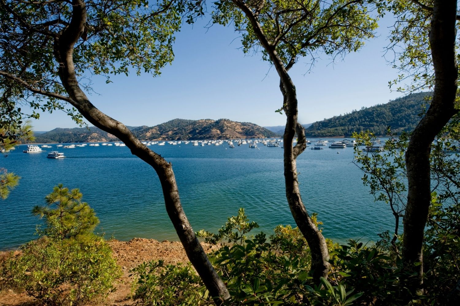 7 Best Lakes in California (and Awesome Nearby Campsites)