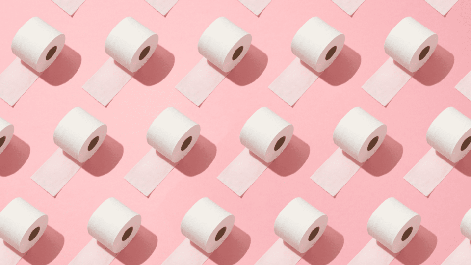 RV Toilet Paper...Do You Really Need It?