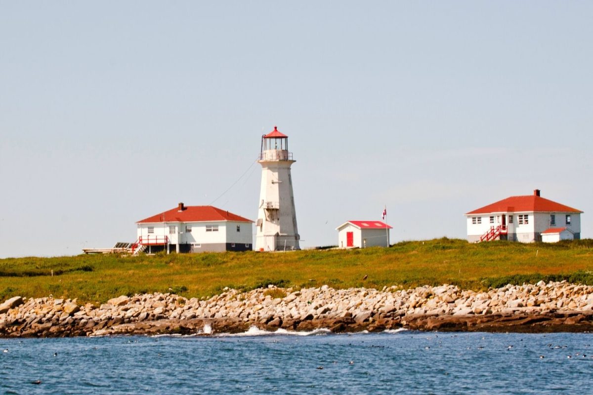 How to Spend a Day in Machias, Maine - Drivin' & Vibin'