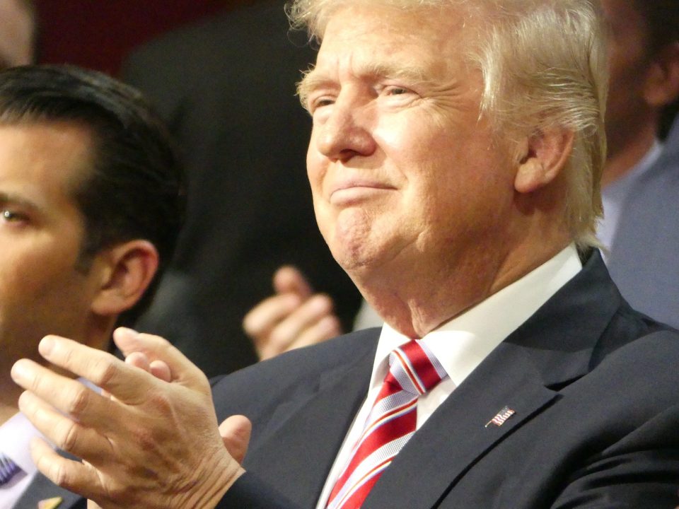 Access Your Free Camping Map Below - Drivin' & Vibin'