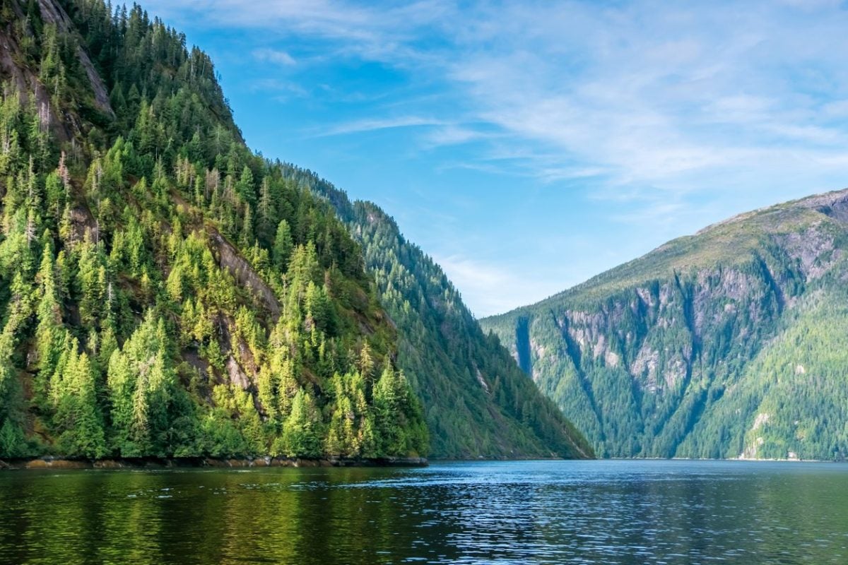 The Tongass National Forest Road Trip Guide Drivin And Vibin