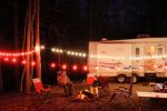 These RV Lights Attract Massive Amounts of Bugs - Drivin' & Vibin'