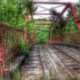 The Goatman’s Bridge in Texas is a Terrifying Road Trip - Drivin' & Vibin'