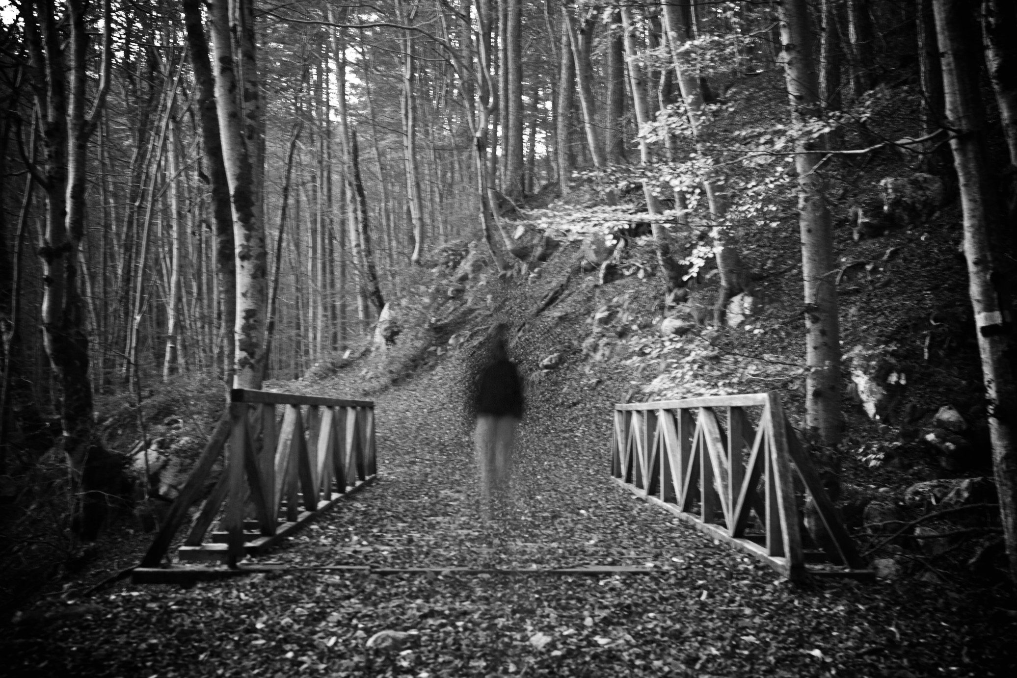 Donkey Lady Bridge Is a Road Trip Destination for Only the Brave ...