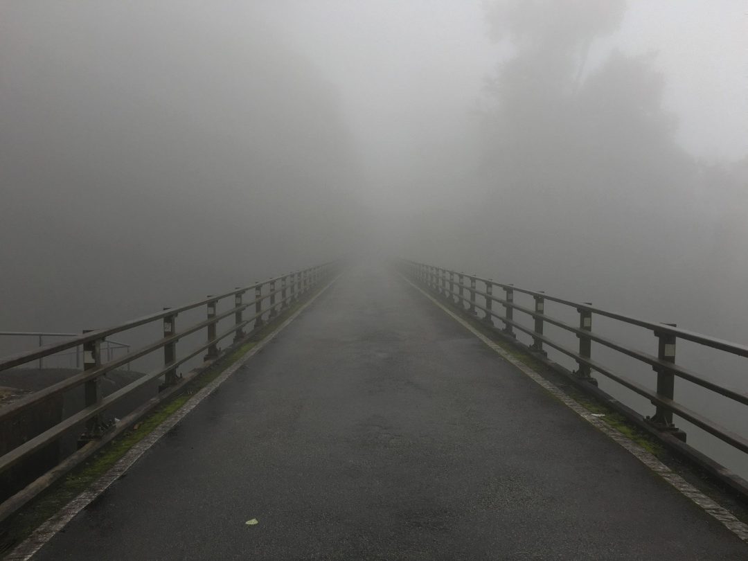 Donkey Lady Bridge Is a Road Trip Destination for Only the Brave ...