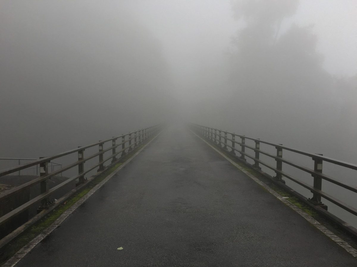 Donkey Lady Bridge Is a Road Trip Destination for Only the Brave ...