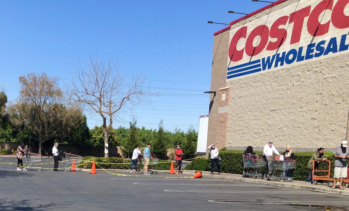 Does Costco Have a Garden Section? - Drivin' & Vibin'