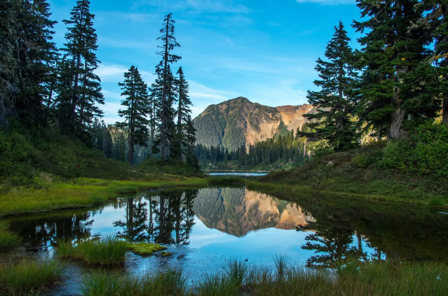 Don’t Hate Me, Texas, But These Are the 5 Most Beautiful States in ...