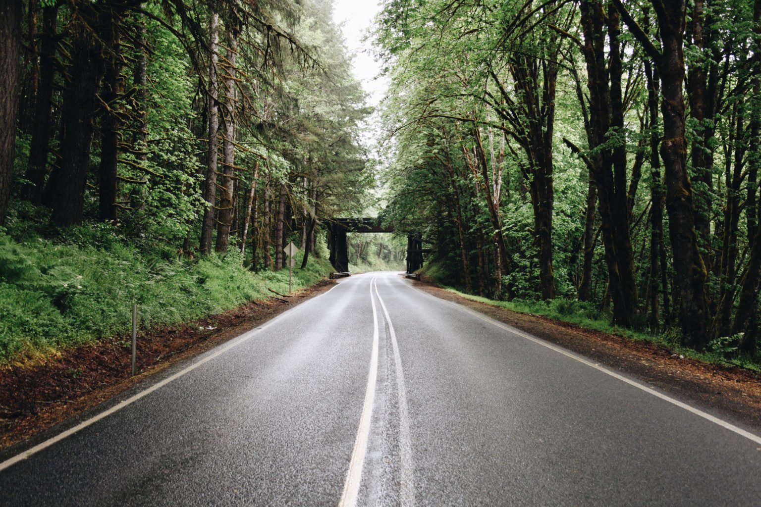 Seven Bridges Road is a Real Road Trip Destination - Drivin' & Vibin'