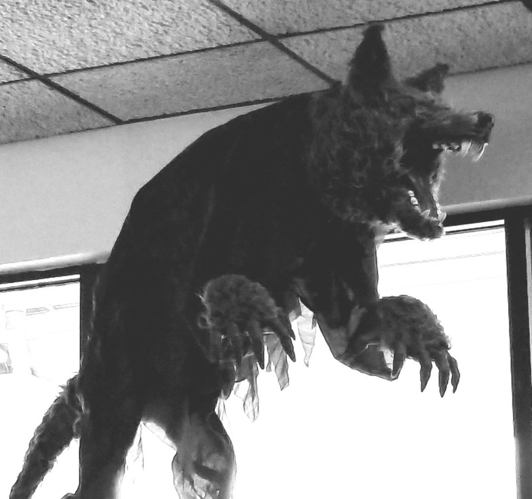 What is the Beast of Bray Road in Wisconsin? - Drivin' & Vibin'