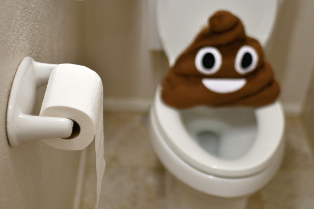 How (and Where) Do RVers Get Rid of Poop? - Drivin' & Vibin'