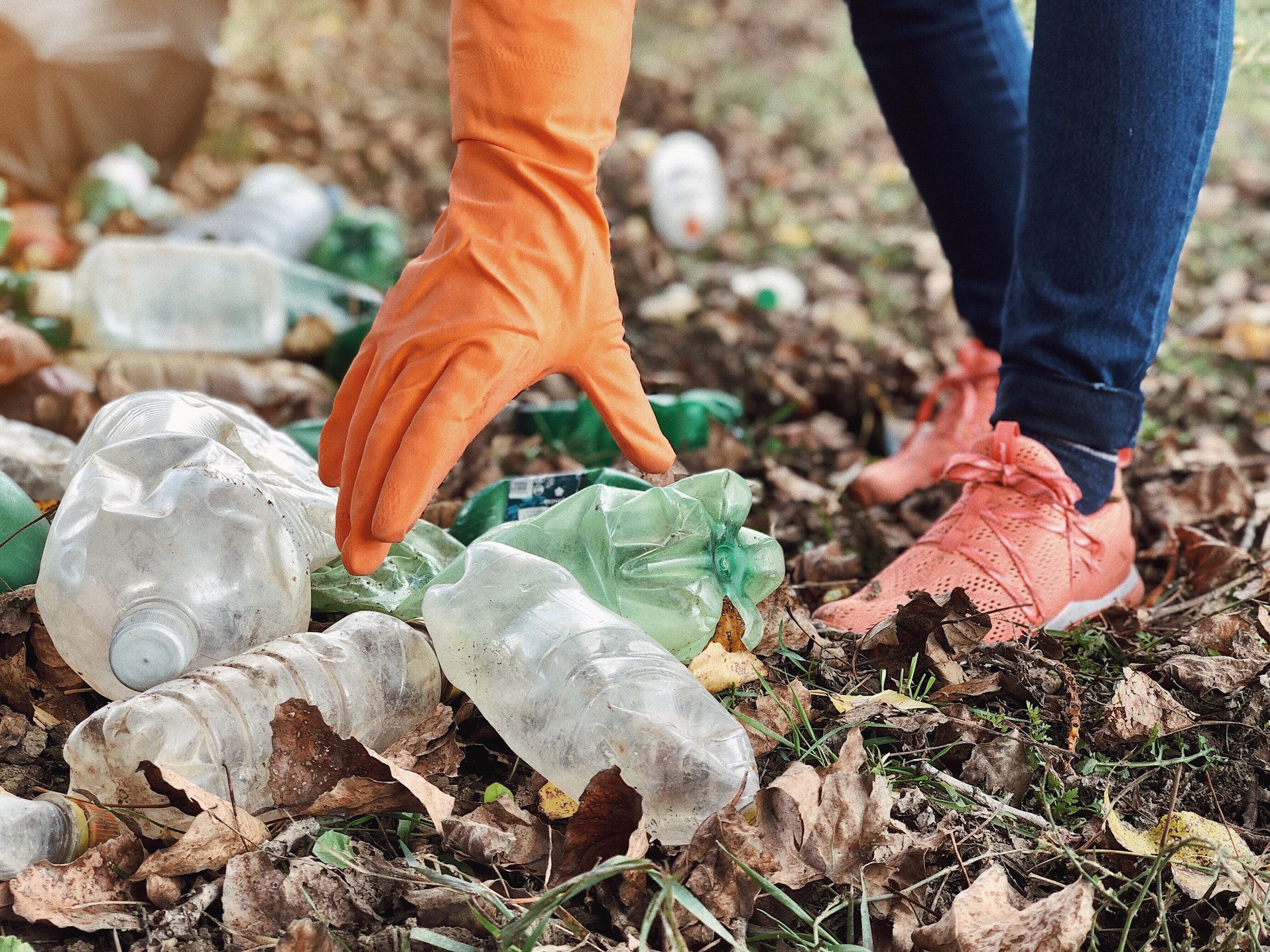 National Park Campsite is Trashed with 150 LBS of Rubbish - Drivin ...