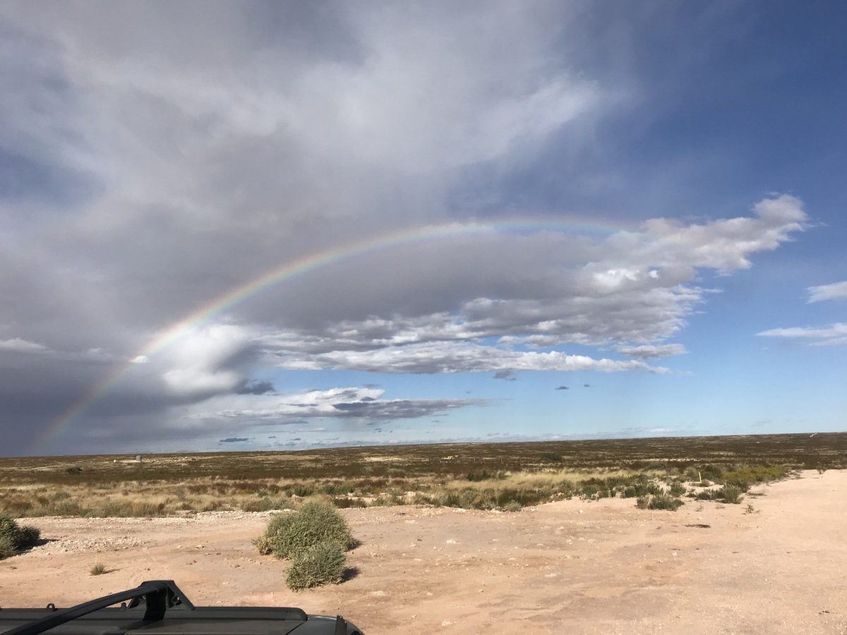 7 Secrets About BLM Land in the USA - Drivin' & Vibin'