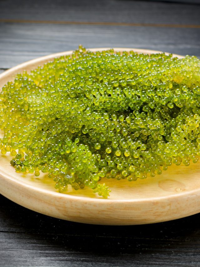 What Are Sea Grapes and Where Can You Eat Them? - Drivin' & Vibin'