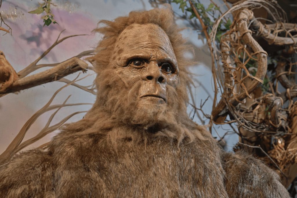 What is the Mogollon Monster in Arizona? - Drivin' & Vibin'