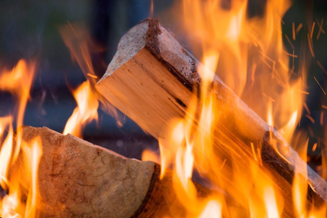 The Best (and Worst) Wood for Campfires - Drivin' & Vibin'