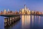 The 5 Most Dangerous Creatures in New York City - Drivin' & Vibin'