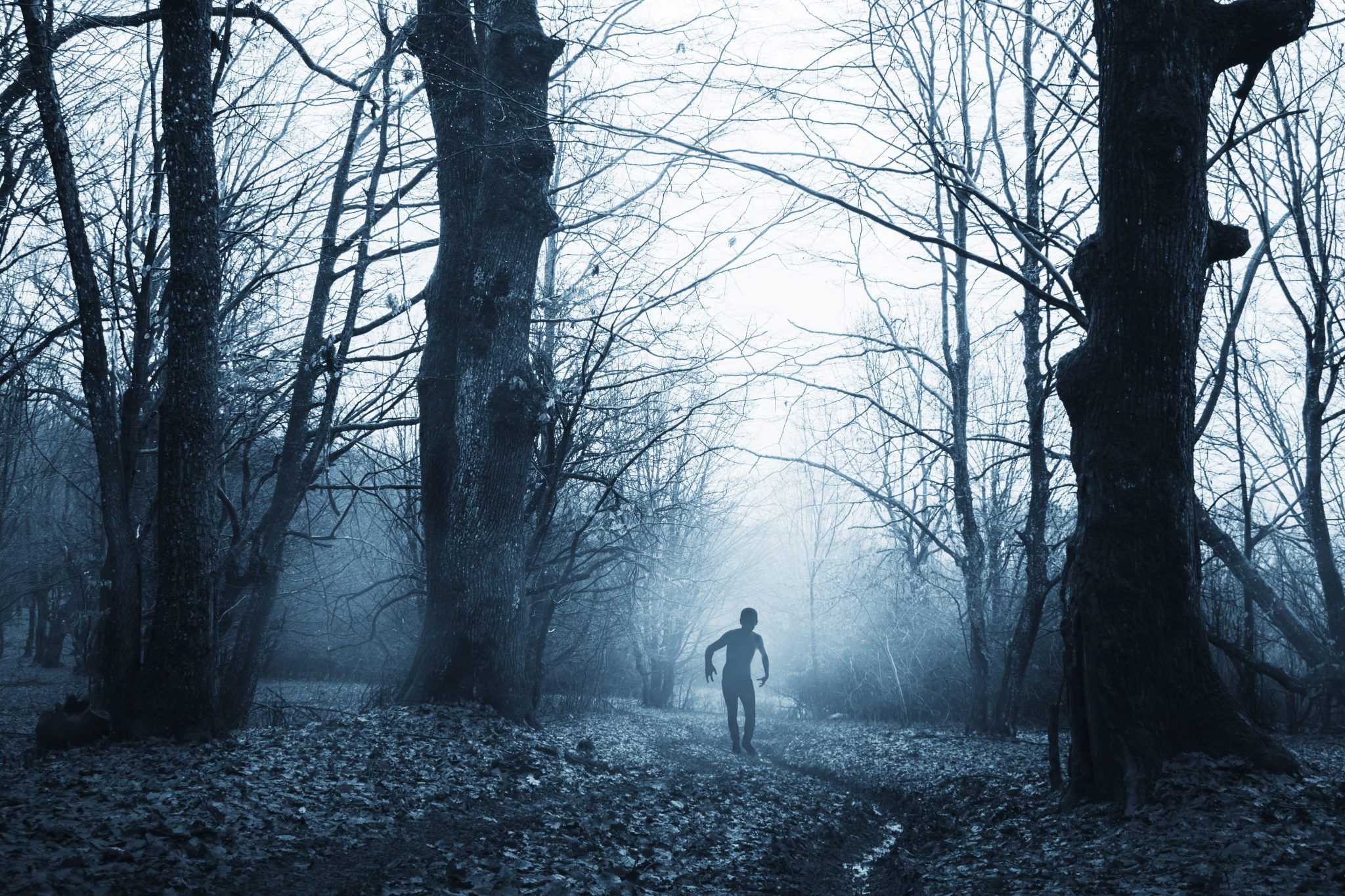What is Dogman in Michigan Lore (and is it True)? - Drivin' & Vibin'