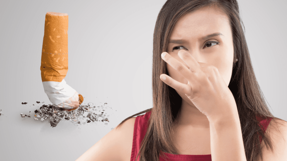 How To Get Rid of the Cigarette Smell in Your Living Area - Drivin ...
