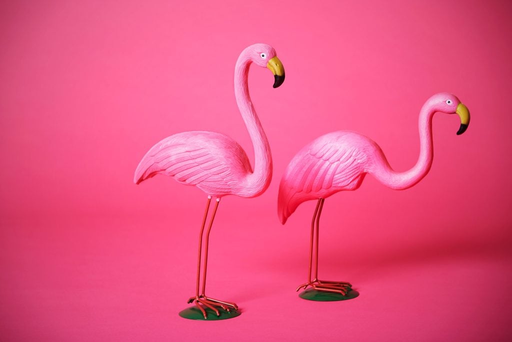 The Suspicious Meaning of Pink Flamingos - Drivin' & Vibin'