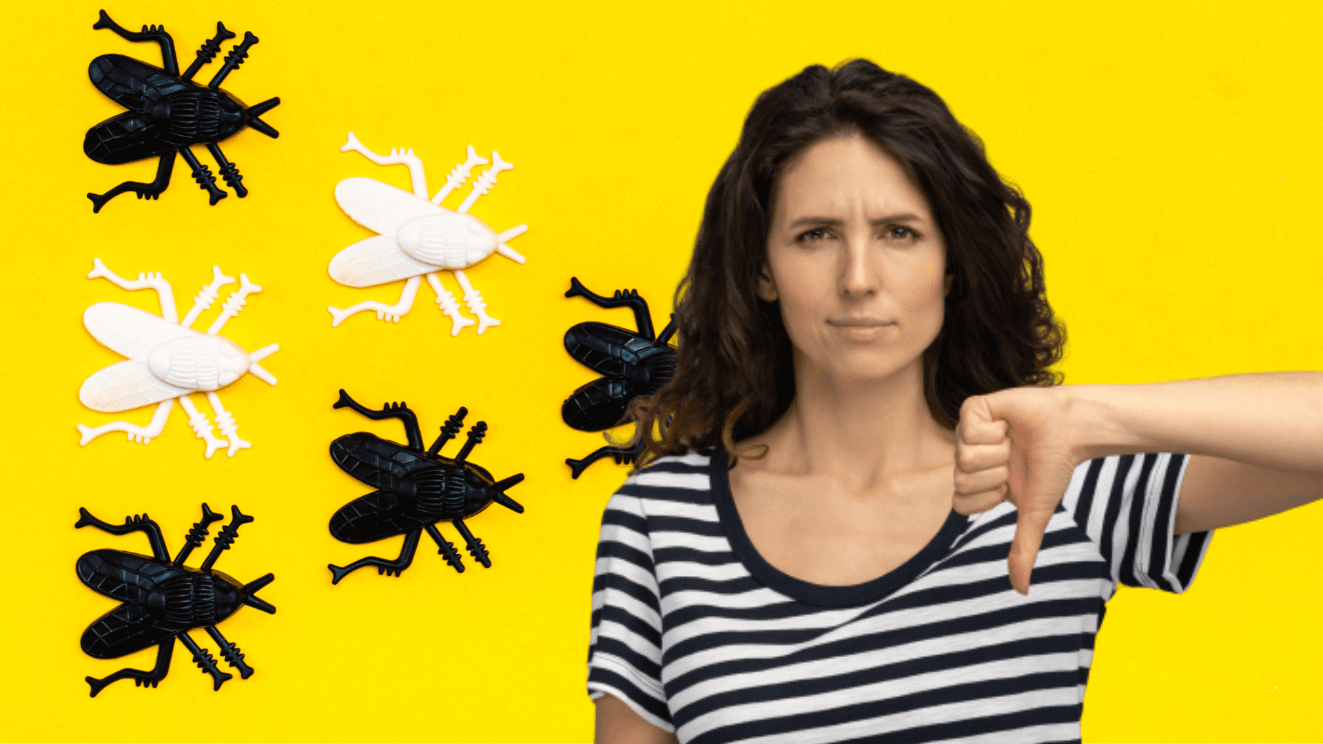 5 Reasons Your RV is Infested with Flies - Drivin' & Vibin'