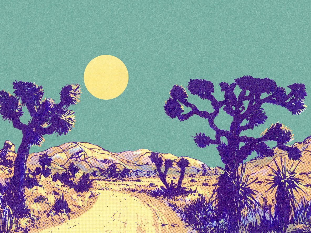 The Most Polluted National Parks in the USA - Drivin' & Vibin'