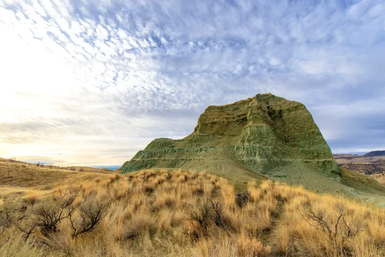 7 Secrets of Fossil Butte National Monument - Drivin' & Vibin'