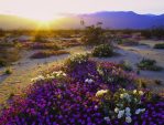 The 10 Most Beautiful American Destinations to Visit in March - Drivin ...