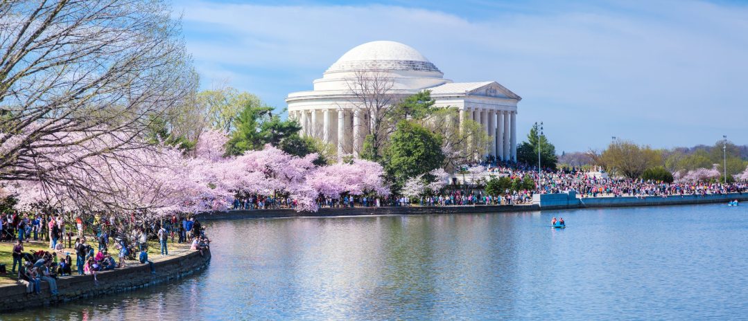 The 10 Most Beautiful American Destinations to Visit in March - Drivin ...