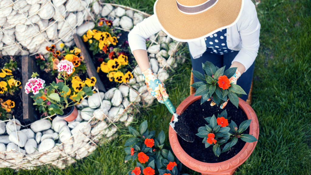 10 Most Beautiful Spring Flowers and How to Plant Them - Drivin' & Vibin'