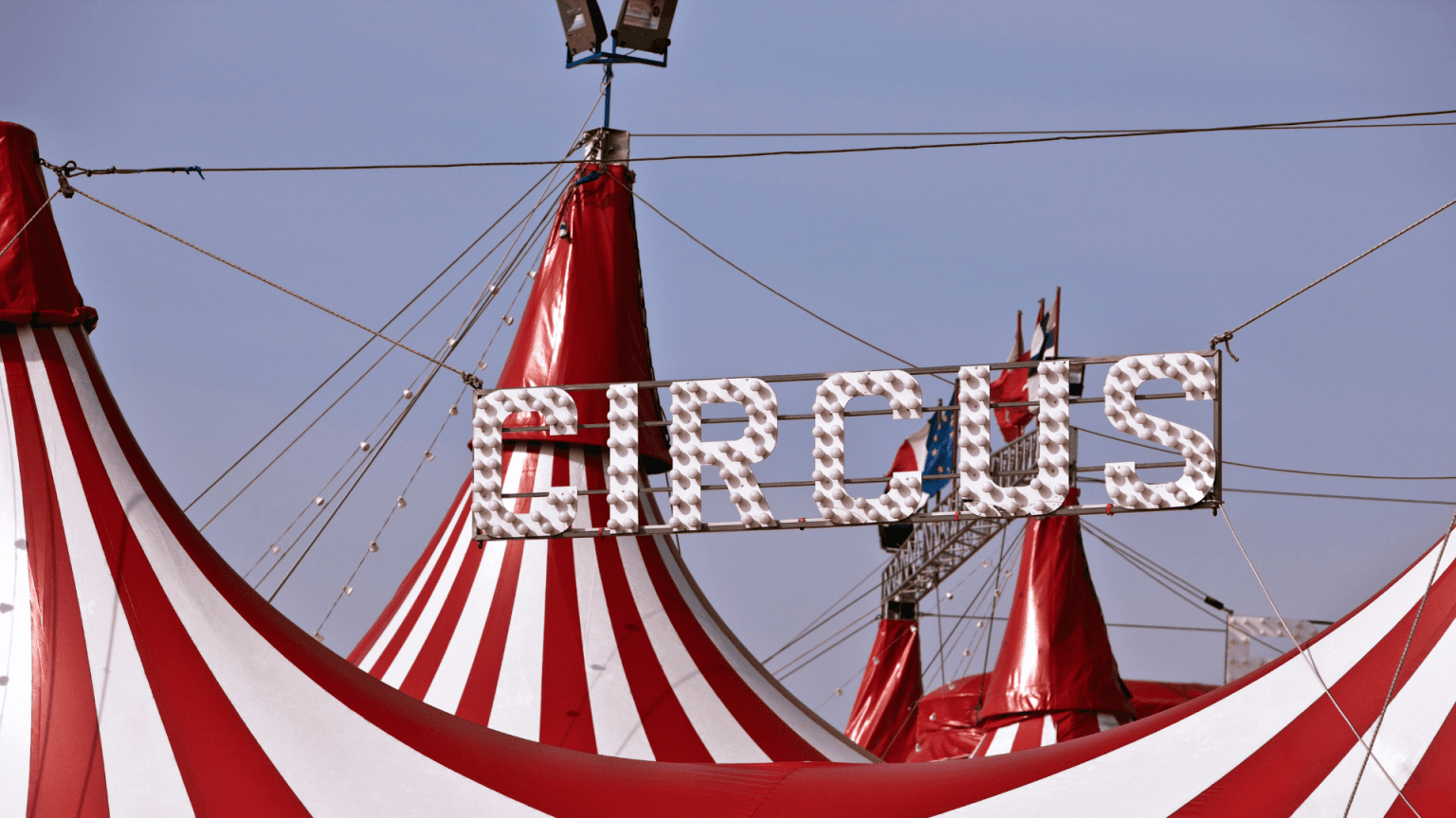 Is the Carden Circus Worth It? - Drivin' & Vibin'