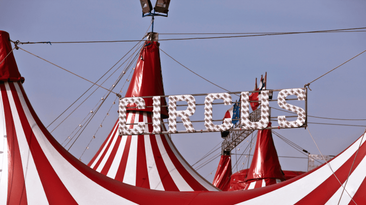 Is the Carden Circus Worth It? - Drivin' & Vibin'