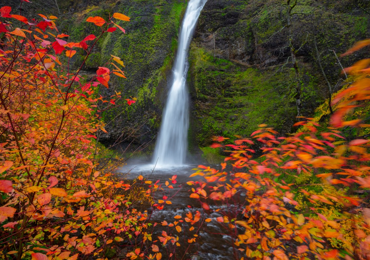 Best Scenic Drives for Fall Foliage in the Northwest - Drivin' & Vibin'