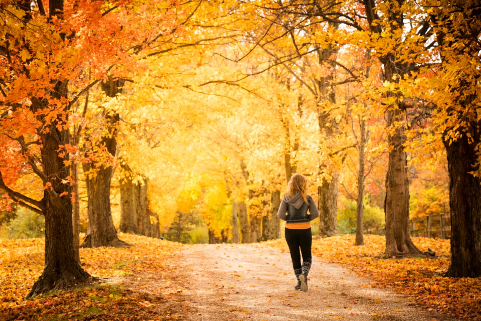 Discover the 5 Best Fall Foliage Destinations in the Midwest - Drivin ...