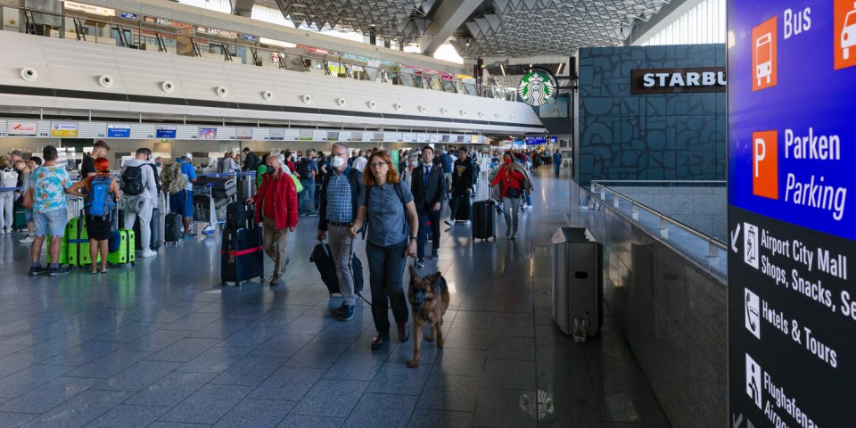 Can Your Dog Poop & Pee in an Airport? - Drivin' & Vibin'