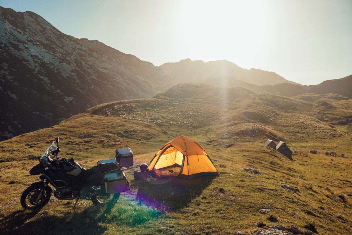 Is the Honda Transalp the Next Best Adventure Vehicle? - Drivin' & Vibin'