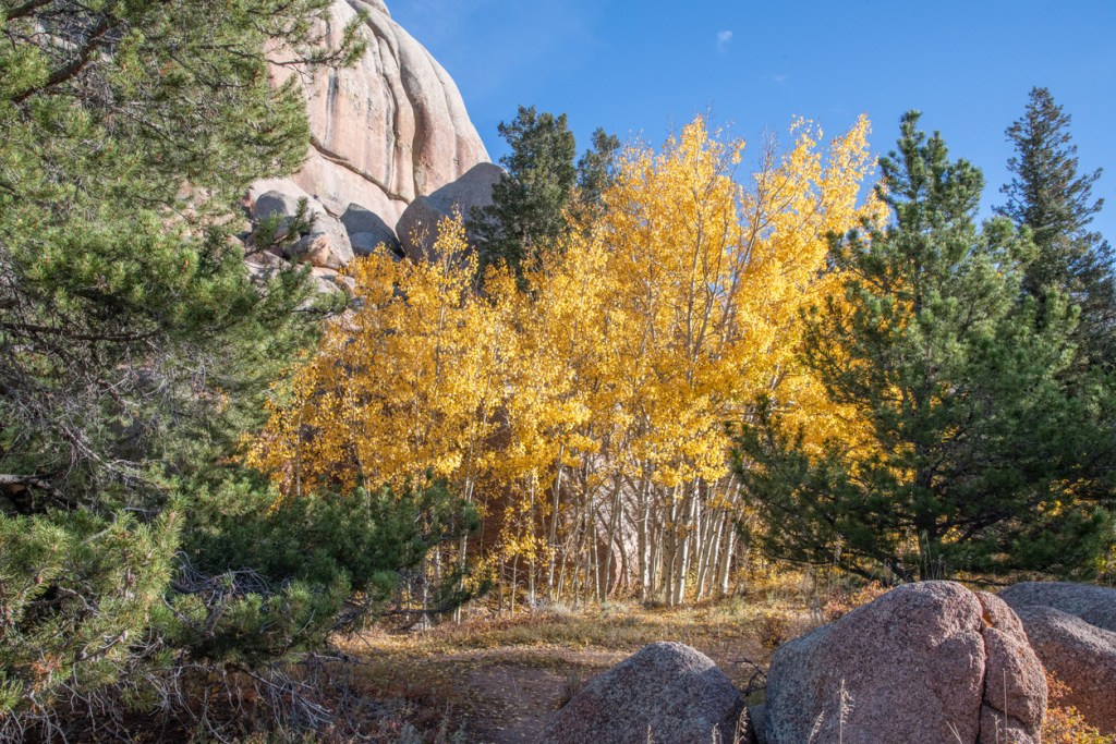 Is the Fall Camping Shoulder Season Disappearing? - Drivin' & Vibin'