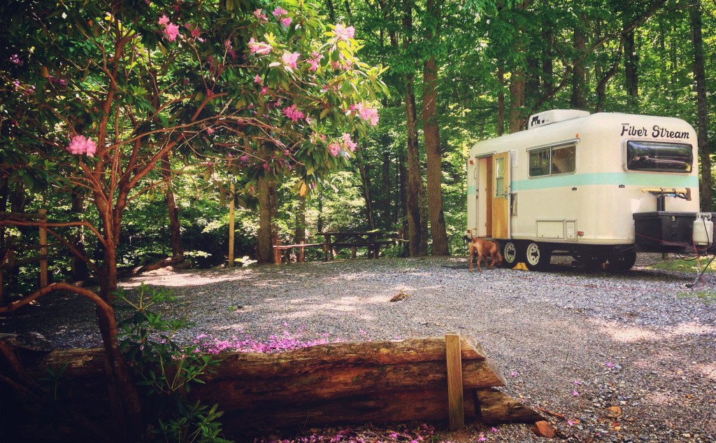 Long Ridge Campground: A Hidden Gem in Hiawassee, Georgia - Drivin ...