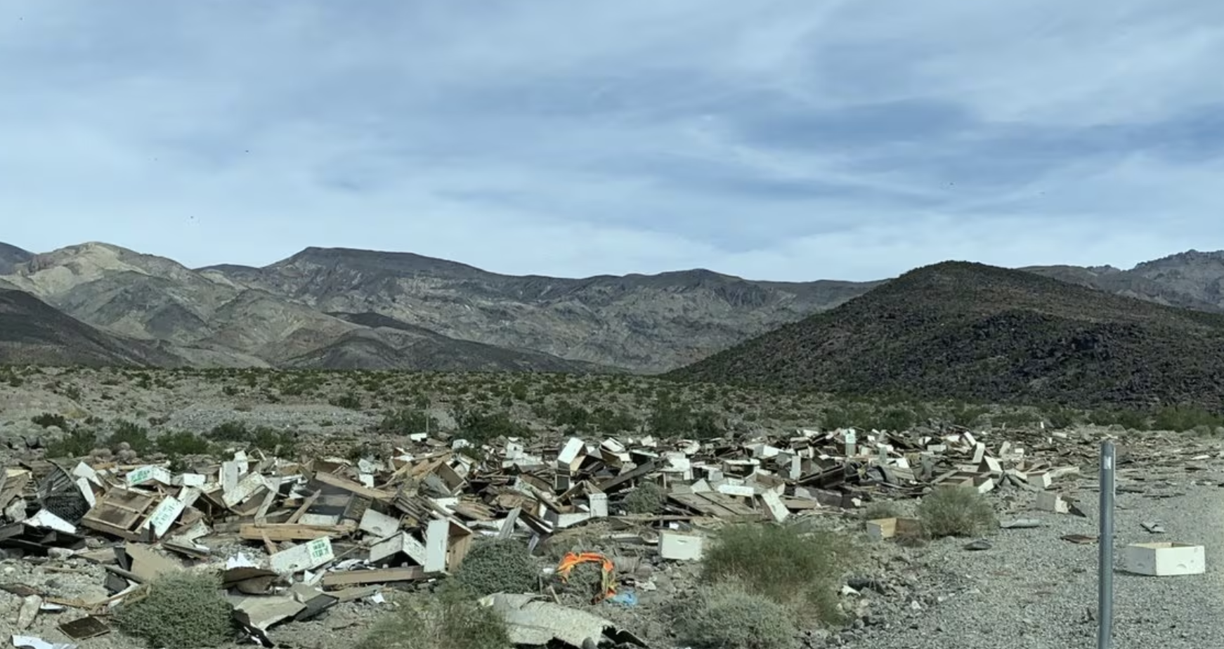 RV Family Swarmed By Bees After a Bizzare Trailer Accident - Drivin ...