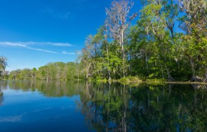 7 Fantastic State Parks in Florida (with RV Hookups) - Drivin' & Vibin'