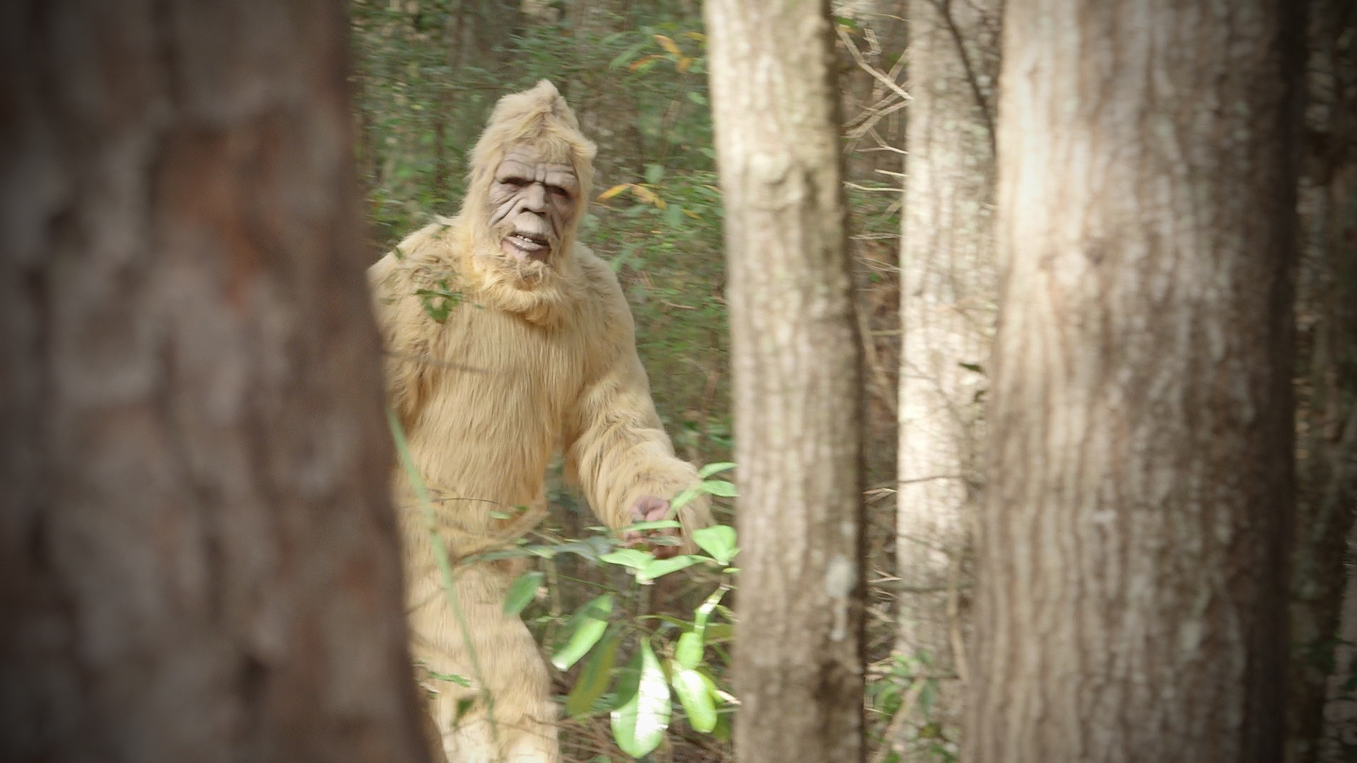 7 Mysterious Cryptids Lurking in America's National Parks - Drivin ...